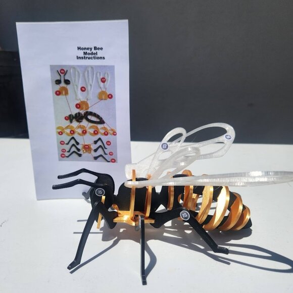 Handmade | Toys | Bee Model Honeybee 3d Puzzle Honey Bees Classroom ...